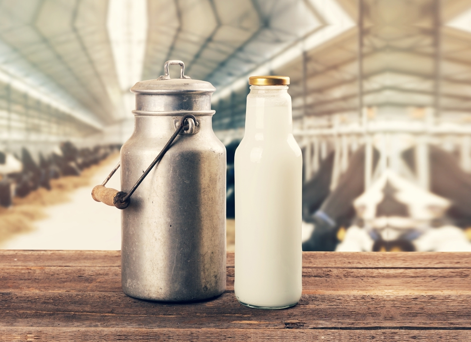 Gruppo Gabrielli. Il Gruppo con la gente al Centro